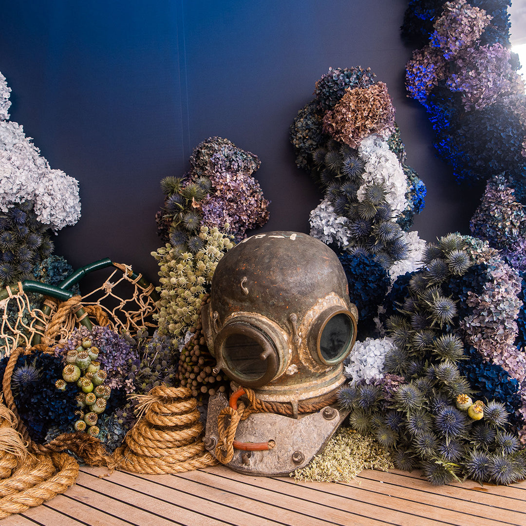 DIVE NEW COLLECTION LAUNCH