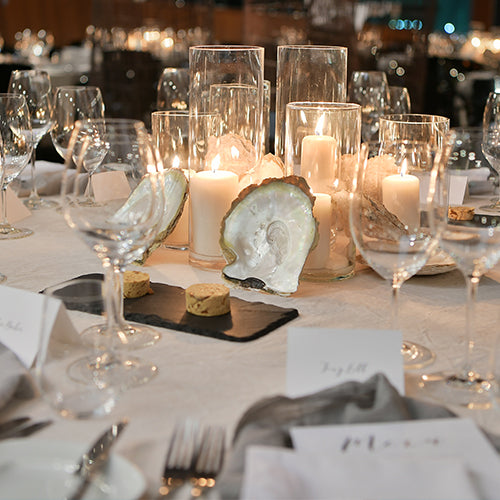 Paspaley Family Wedding Paspaley Monsoon Collection Launch Photography