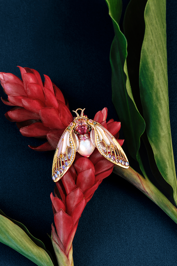 New Creations | Discover Paspaley’s Latest Pearl Jewellery