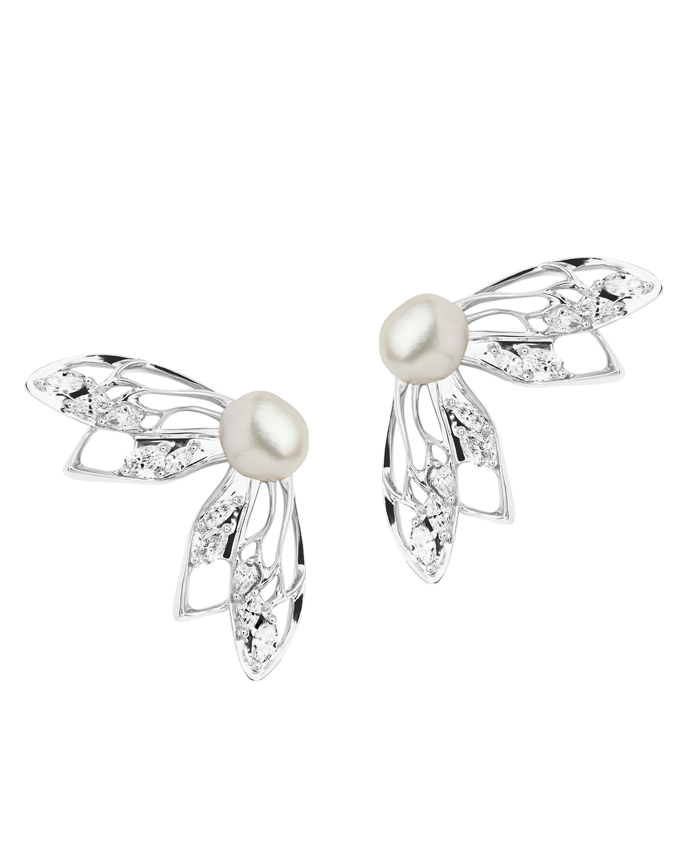 Paspaley Pearl Earrings and Studs