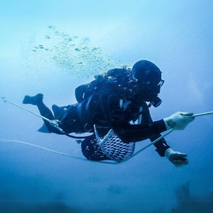 Paspaley Australian South Sea Pearls