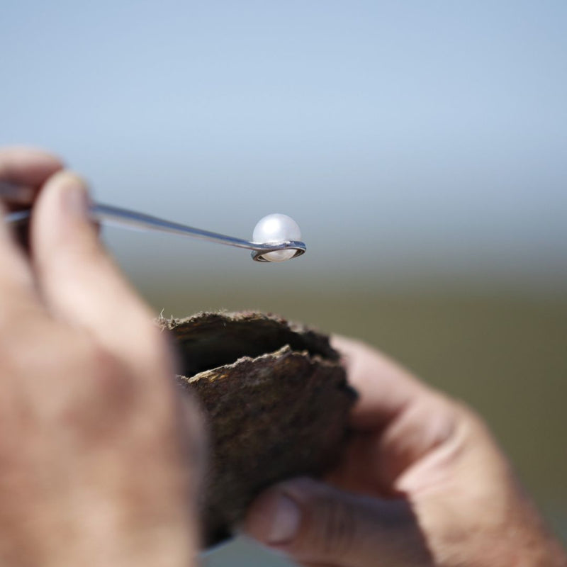 Paspaley Australian South Sea Pearls