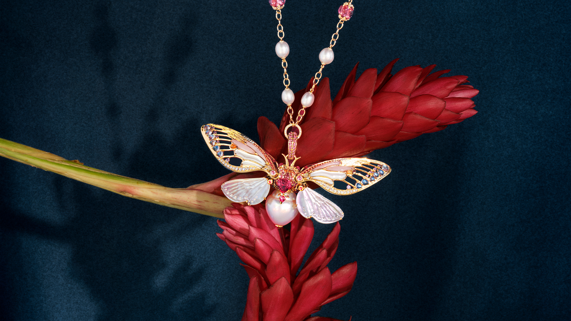 Paspaley | Official Online Boutique