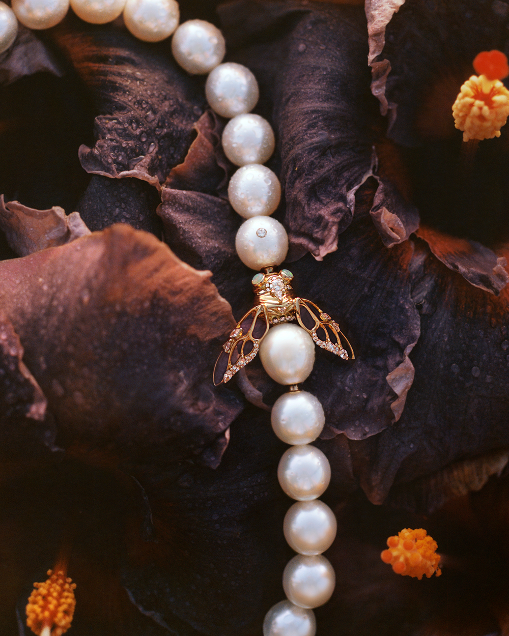 Paspaley | Official Online Boutique